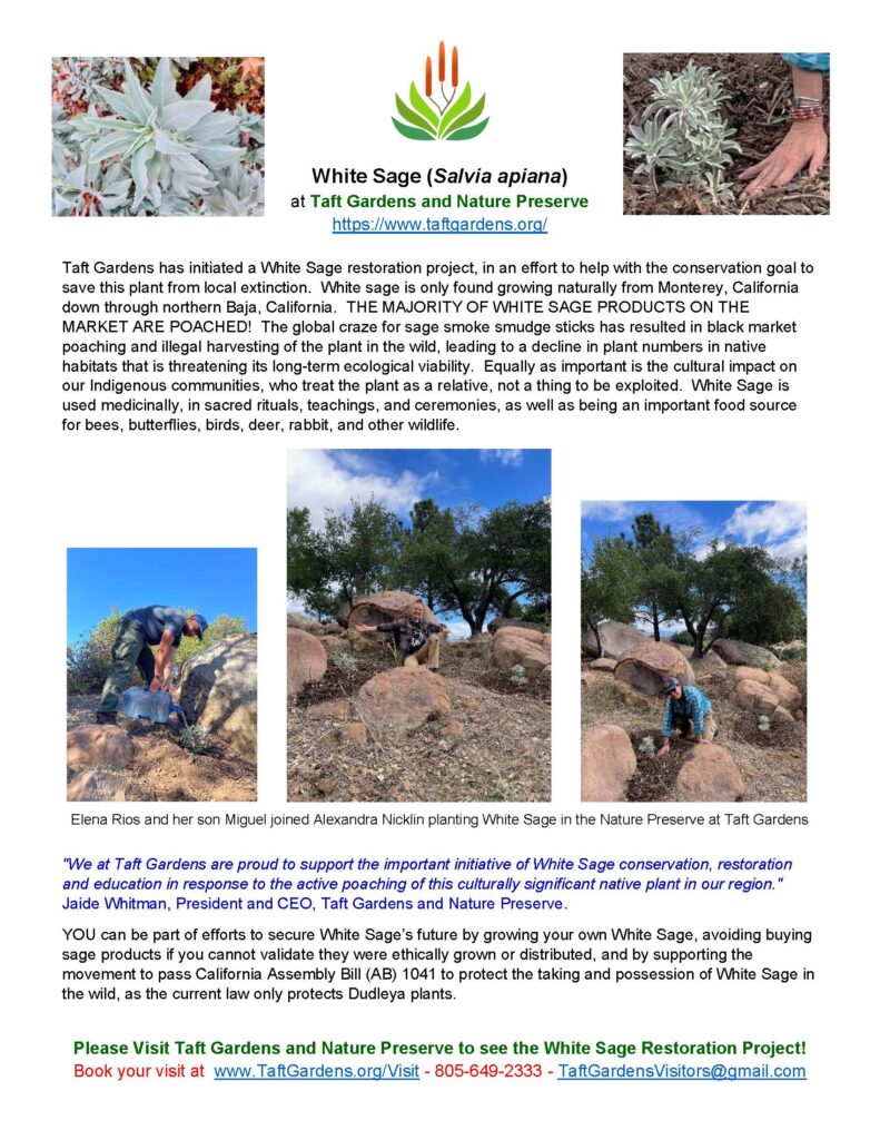 CURes Participates in Oxnard Native Plant Festival with Taft Gardens ...